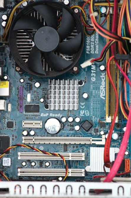 Uncovering the Secrets of Twitch Autopsy: Exploring the Facts - Animascorp