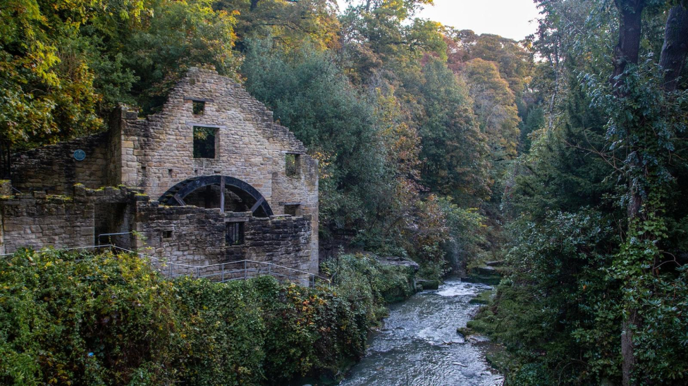 Emma Armstrong: Career Highlights and Achievements - Animascorp