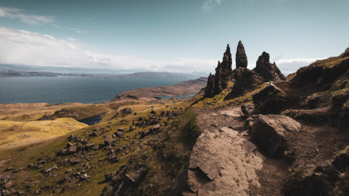 Exploring Humanim: A Comprehensive Inside Look - Animascorp