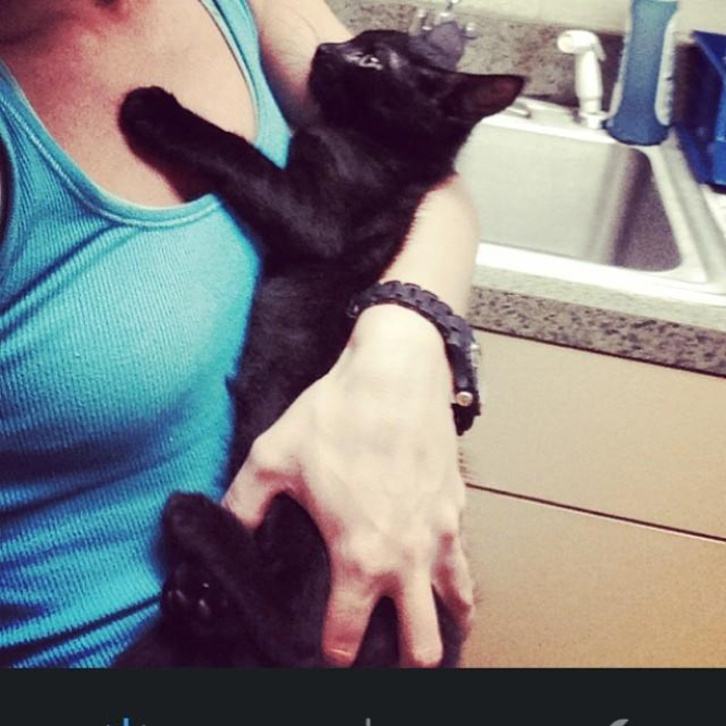 VBSPCA: Serving Animals in Need for Over 50 Years - Animascorp