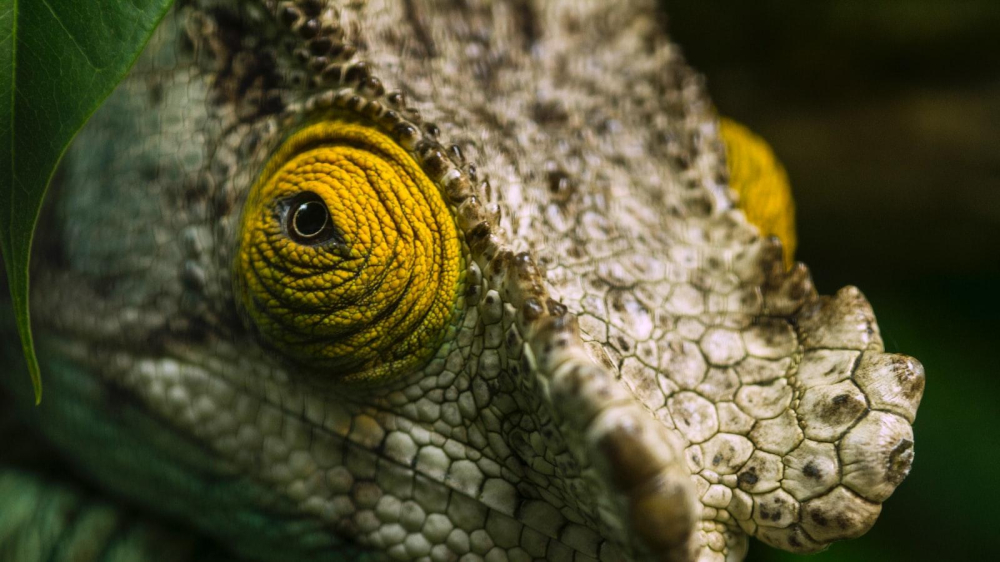 Understanding the Importance of Eye Exam Refraction in Optometry ...