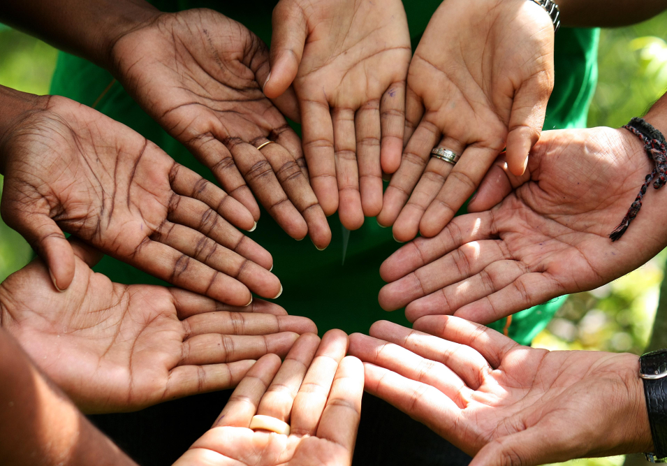 Exploring the Importance of Image Care in Latham: A Scientific ...