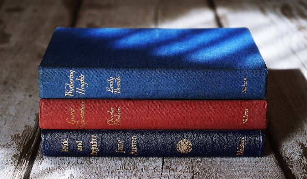 Emily Compagno: Unveiling the life of Peter Reilly - Animascorp