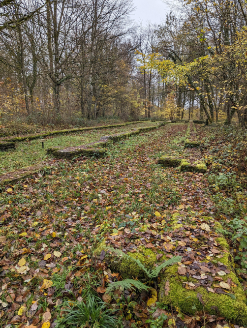 Uncovering the Real Name of Fanum: A Biographical Investigation ...