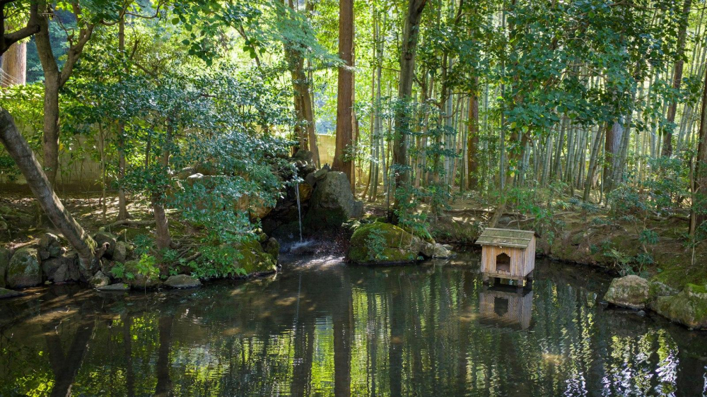 The Inspiring Story of Jennifer Ward Penzón: A Journey to Success ...