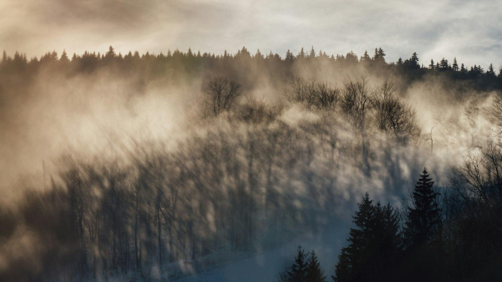 Henry Hunter Hall: Exploring the Actor's Identity as a Gay Man - Animascorp