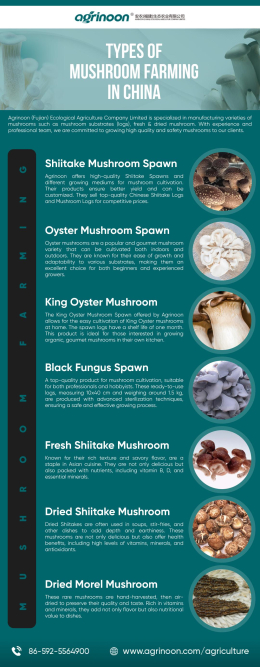 The Coolest Mushrooms: Exploring Nature's Most Unique Fungi - Animascorp