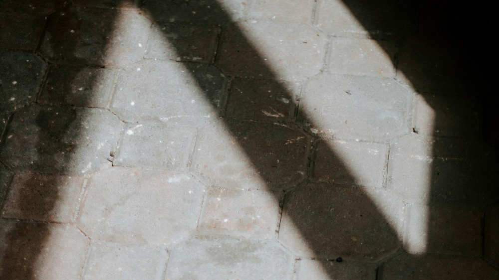 Understanding the Nuke Shadow: Effects and Implications - Animascorp
