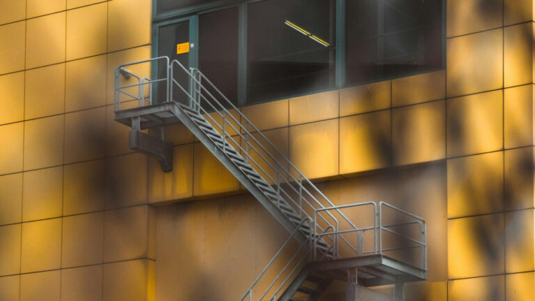 The Tragic Rynisha Grech House Fire: A Biography - Animascorp