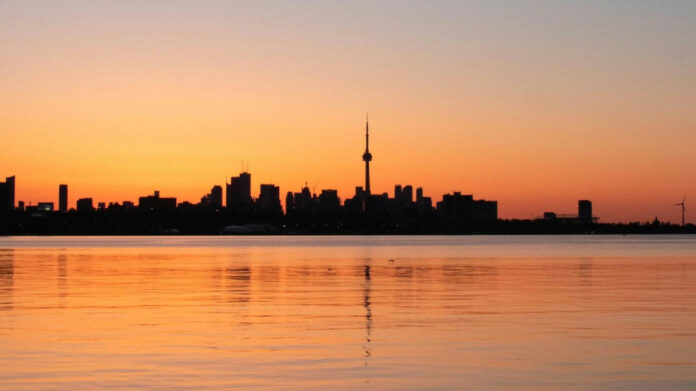 Cindy Sheldon Taleb: A Fascinating Biography - Animascorp