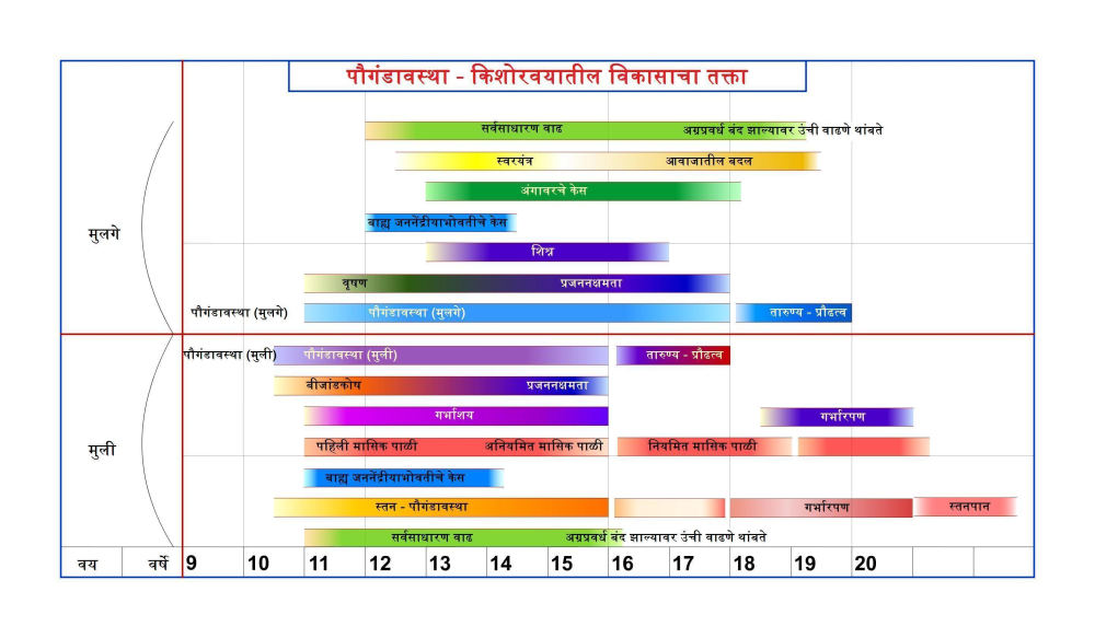 Understanding adolescent sexual development: Unraveling the realities ...