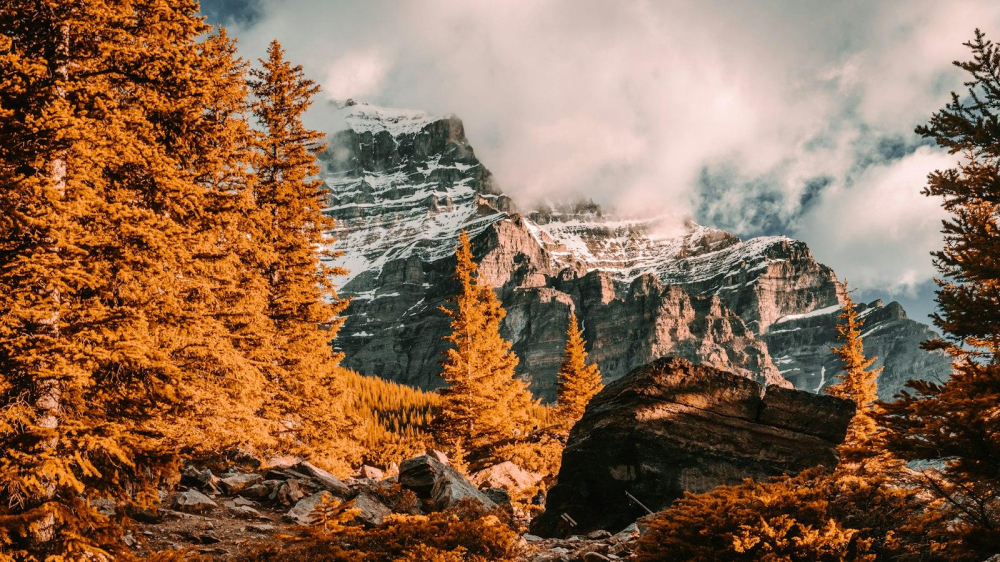 October Delights: Discovering Festive Fun with Holidays! - Animascorp