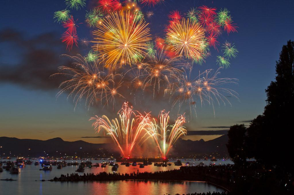 July 29th: Celebrate the Ultimate Summer Holiday! - Animascorp