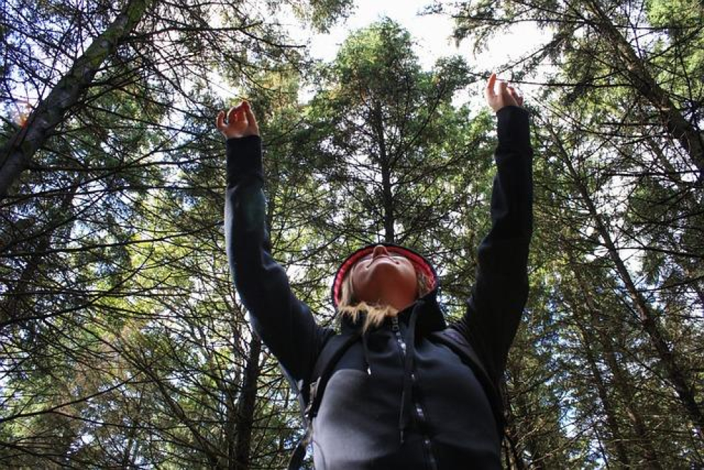 Let Go and Press On: Inspiring Quotes on Moving Forward - Animascorp